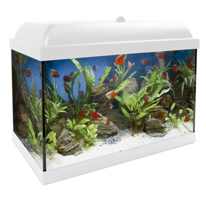 Acuario más Kit completo Aqua LED Pro ICA para peces de agua dulce ...